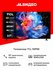 Телевизор TCL 55P6K