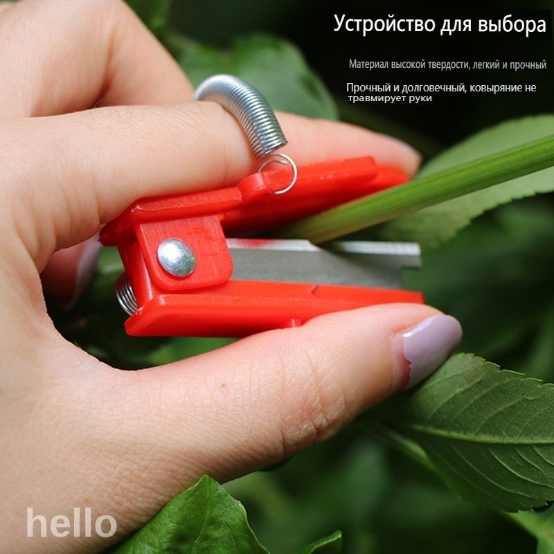 Плодосборник