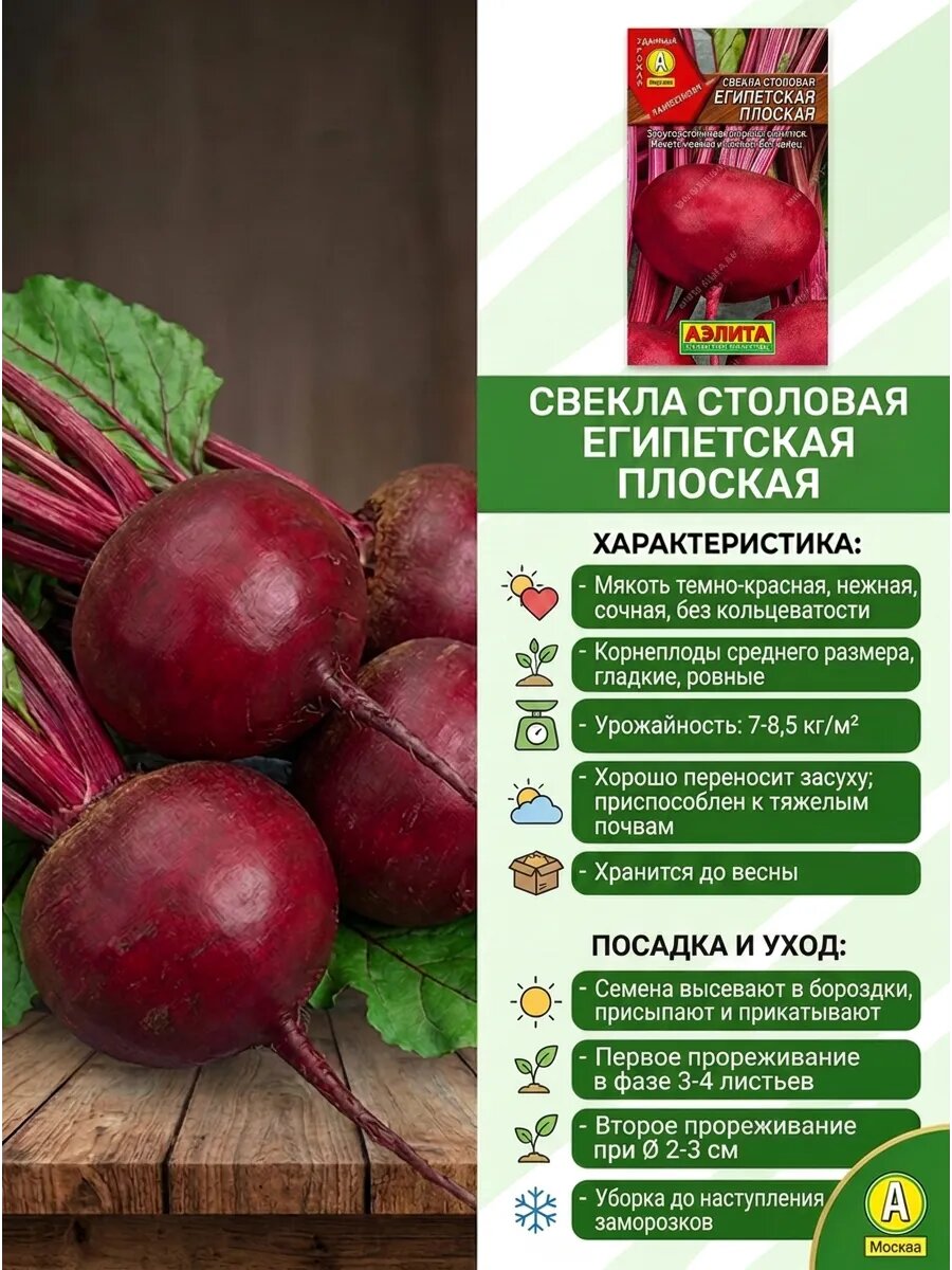 Семена свеклы — фото 1