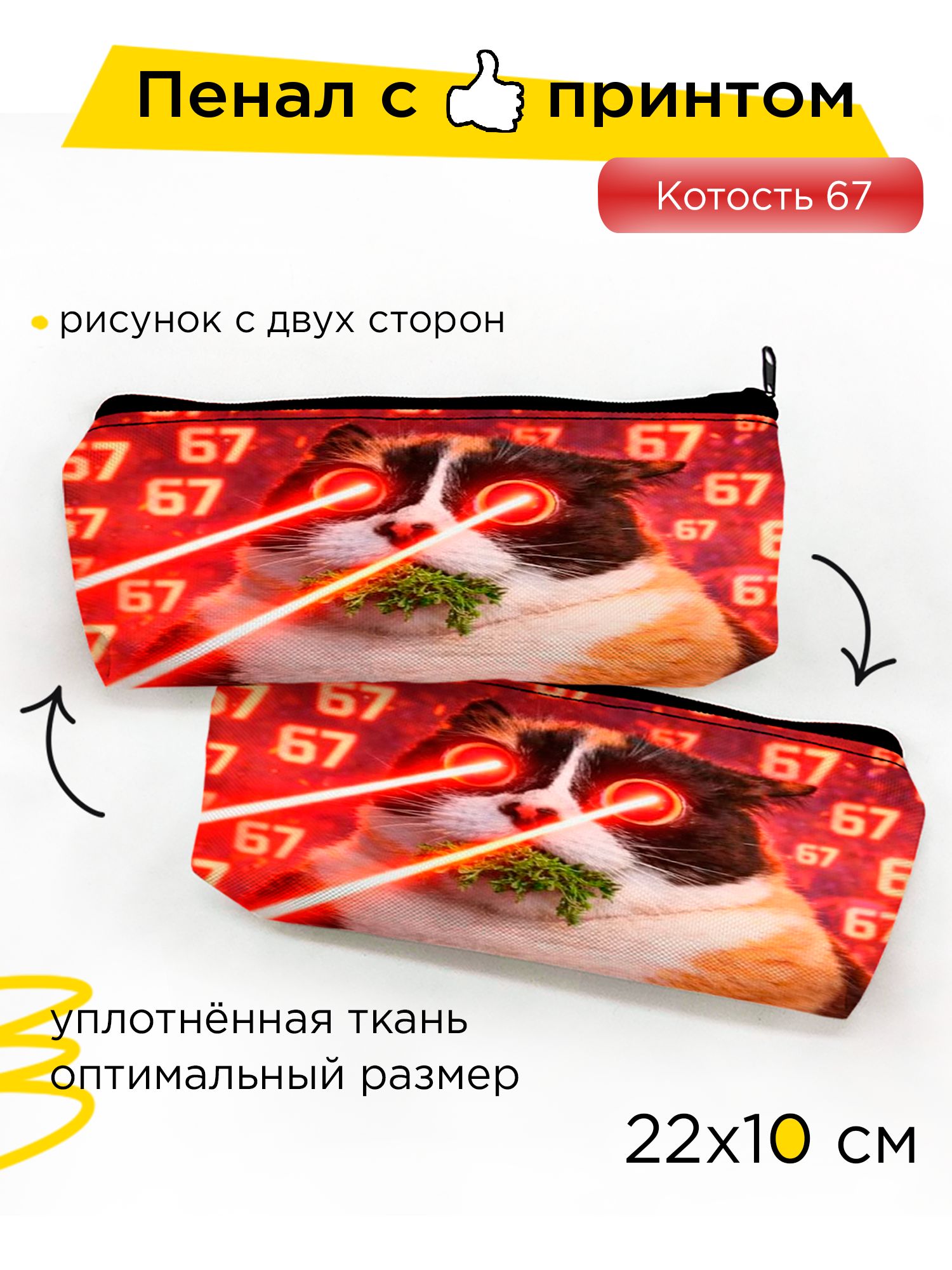 Пенал школьный Котость 67 (Six Seven)