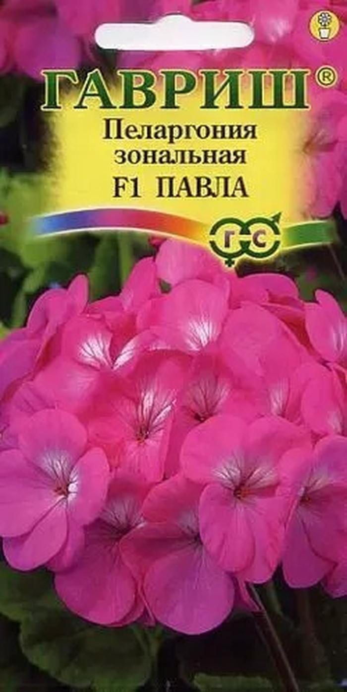 Семена цветов (комнатные) Пеларгония зональная Павла F1 гавриш 4 шт ц/п