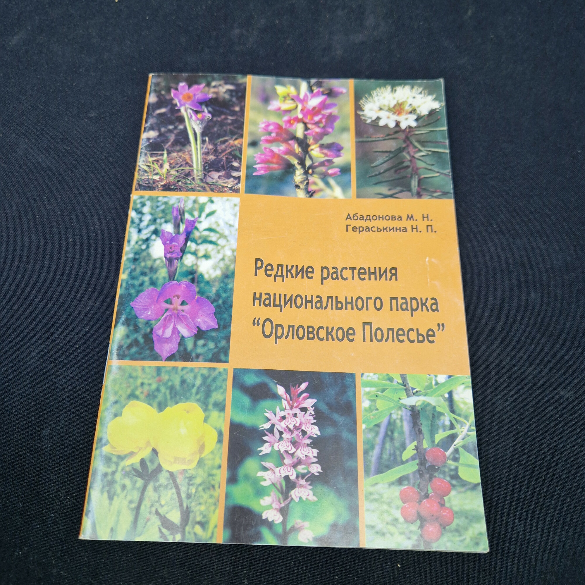 Редкие растения национального парка Орловское Полесье. Книга. Справочное издание