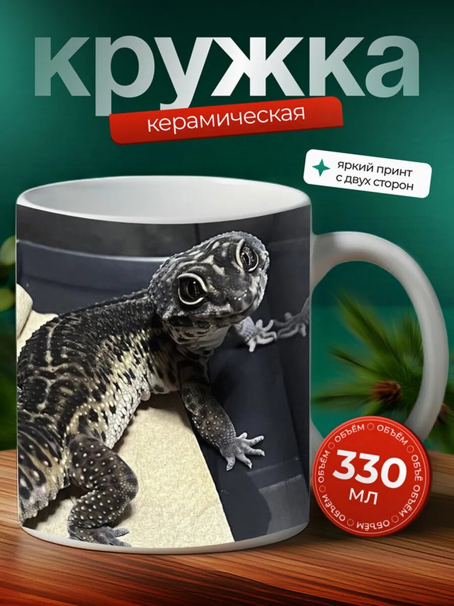 Кружка Ящерица домашняя 3,