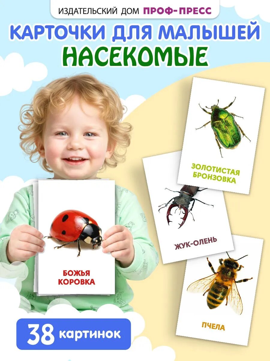 Развивающие карточки Проф-Пресс "Насекомые" для малышей, 19 шт.