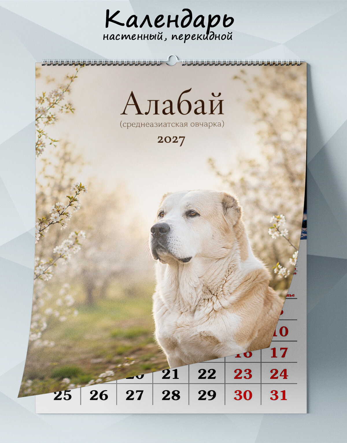 Календарь настенный, перекидной "Алабай (среднеазиатская овчарка)" на 2027 год