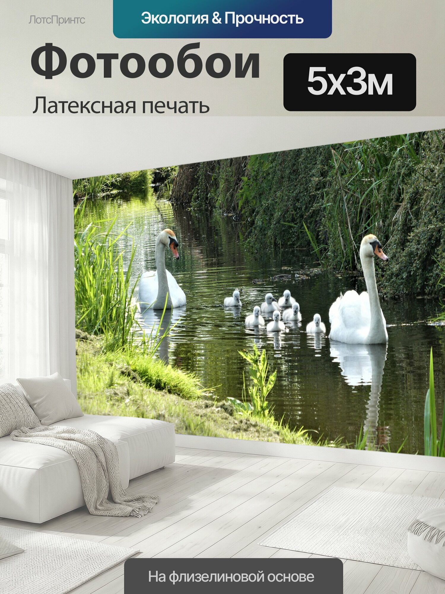 Фотообои моющиеся ударопрочные "Лебедь с птенцами, лебедь, цыплята" 500x300 см. латексная печать
