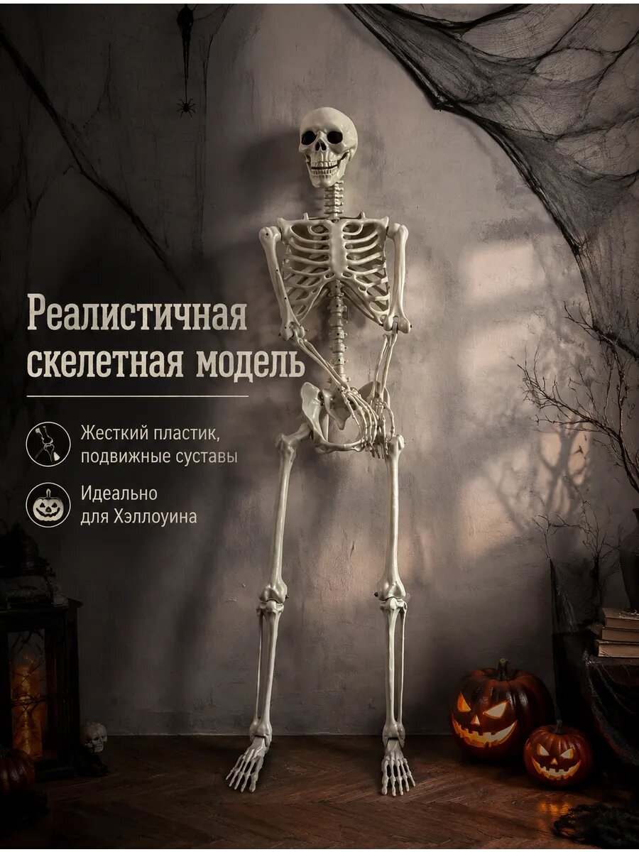 Скелет 170 см реалистичный декор на Хэллоуин