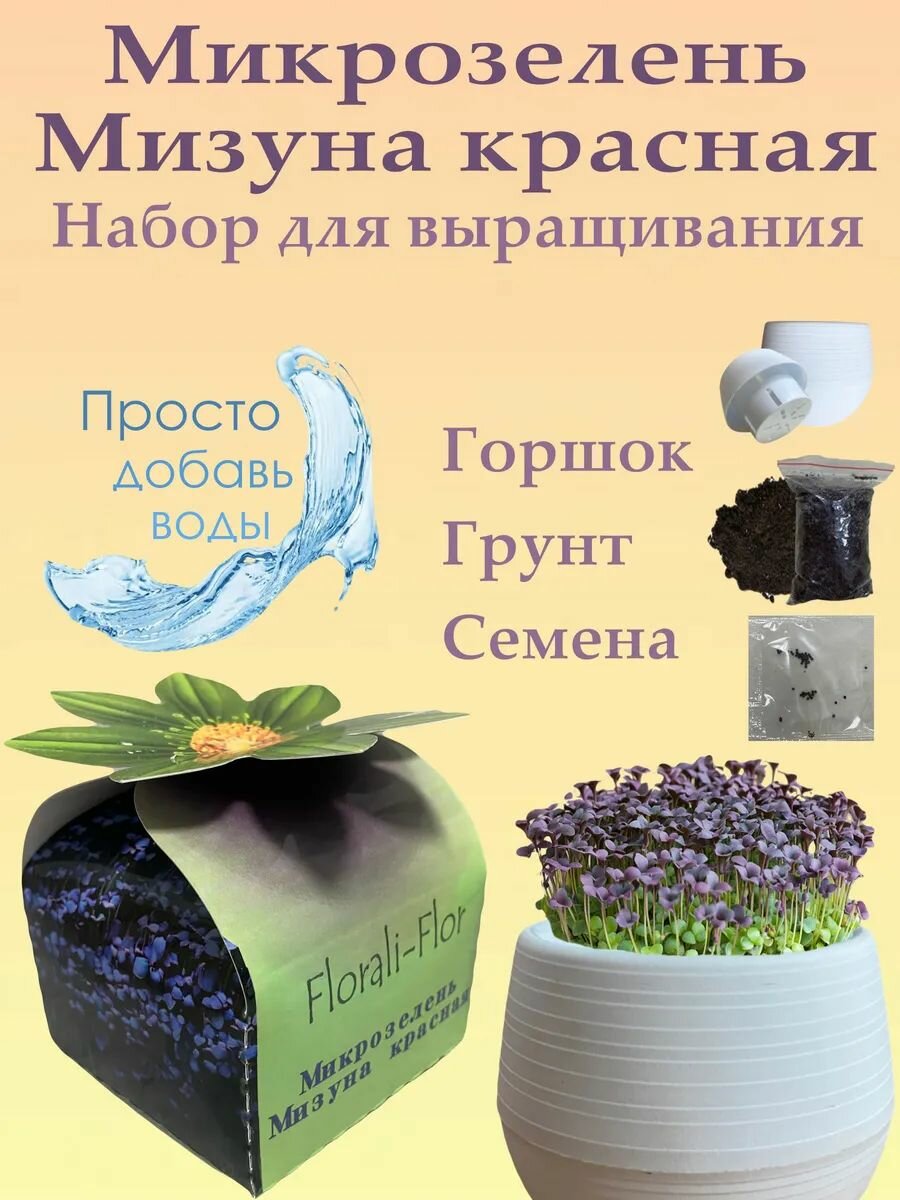 Набор для выращивания микрозелени мизуна красная