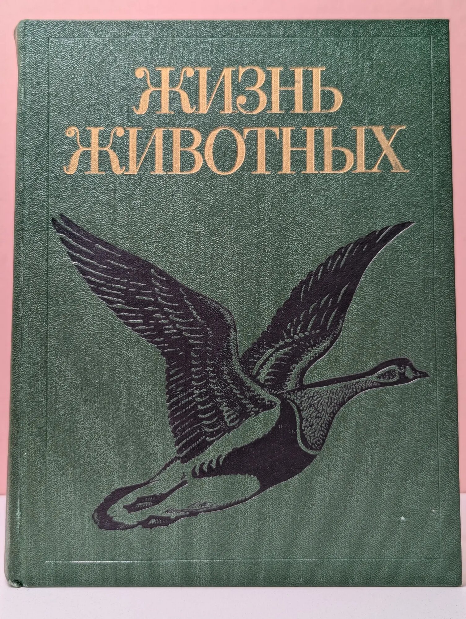 Жизнь животных. Том 6. Птицы Сборник 1986