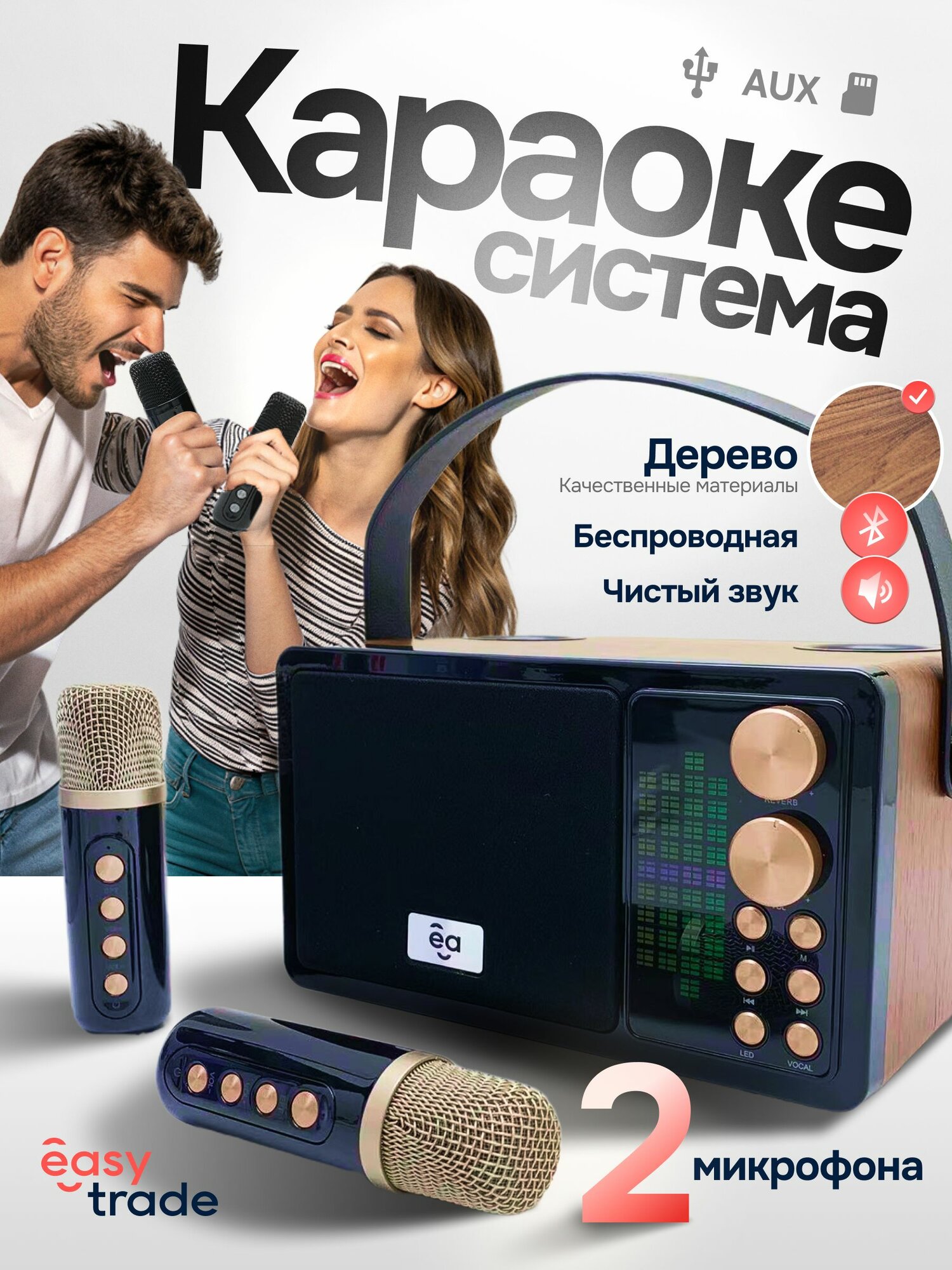 Караоке система с двумя беспроводными микрофонами