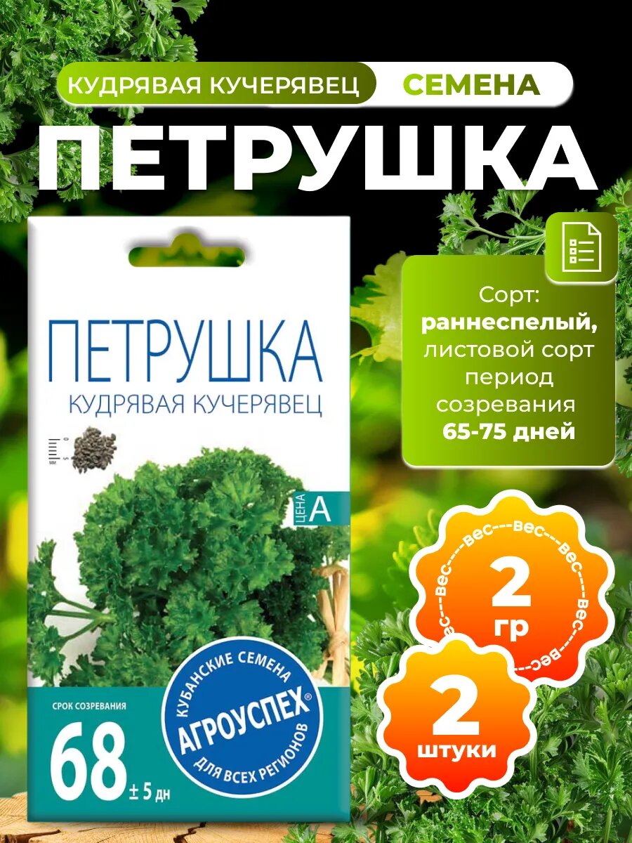 Семена петрушки кудрявая Кучерявец, 2 пачки по 2г
