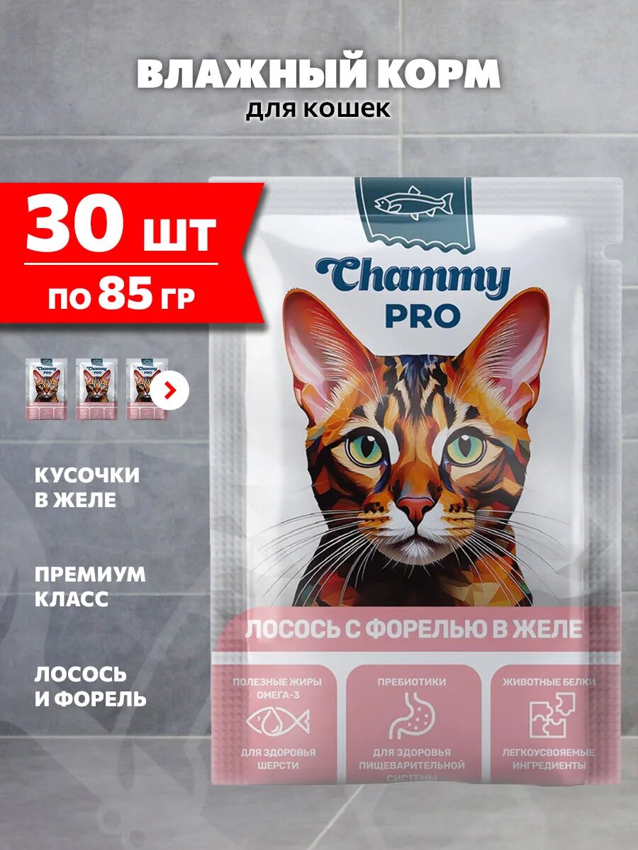 Корм влажынй Chammy Pro для взрослых кошек, лосось и форель в желе, 85 г 30 шт