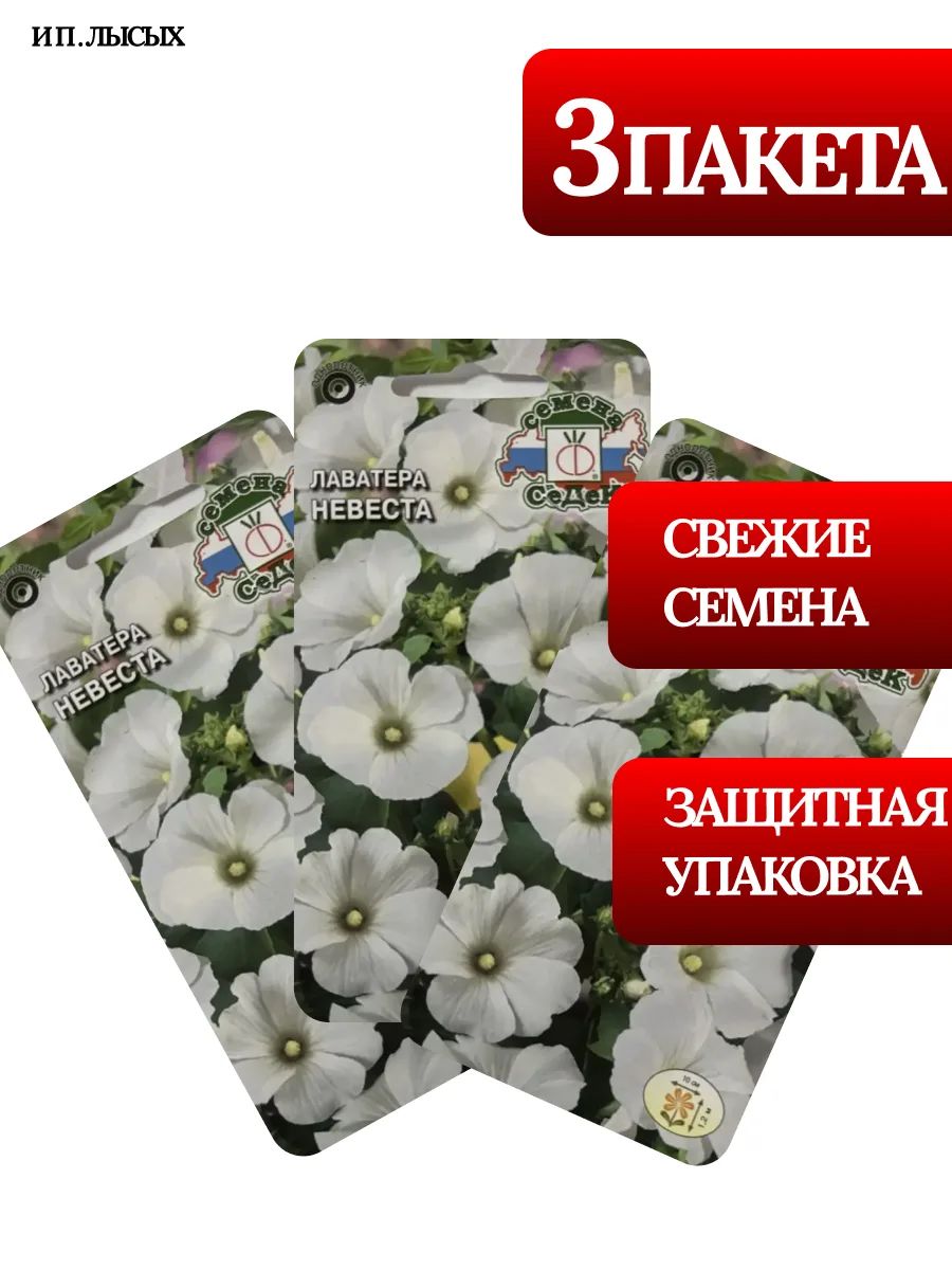 Семена Лаватера "Невеста"