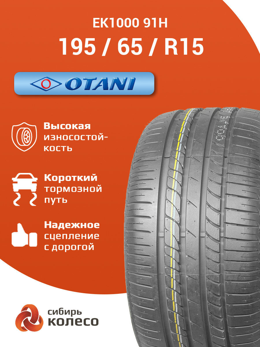 195/65R15 Otani EK1000 91H