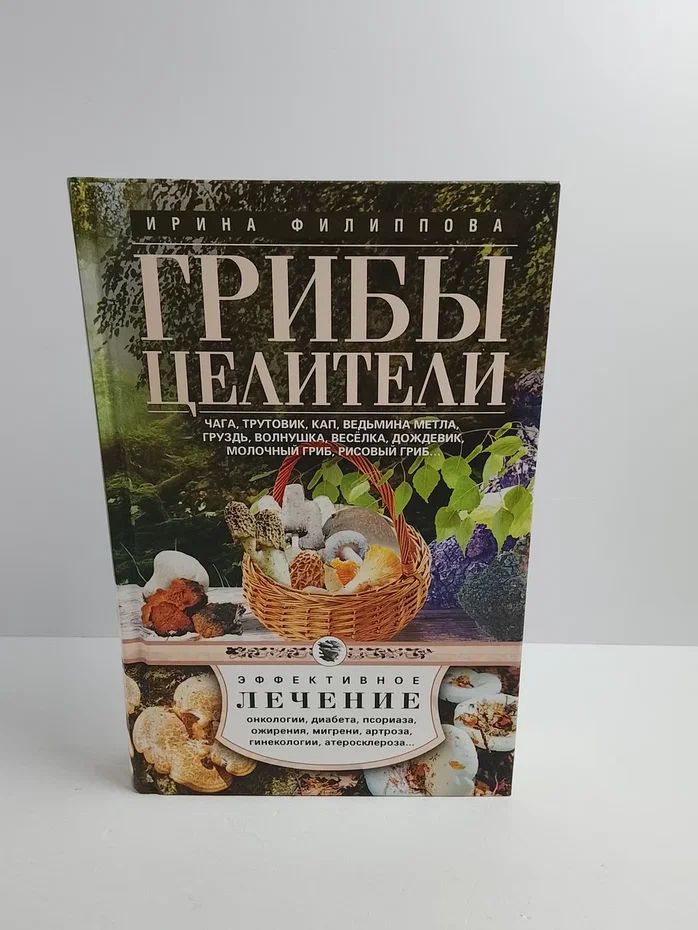 Грибы-целители. Чага, трутовик, кап, ведьмина метла, груздь, волнушка, веселка, дождевик, молочный гриб, рисовый гриб.