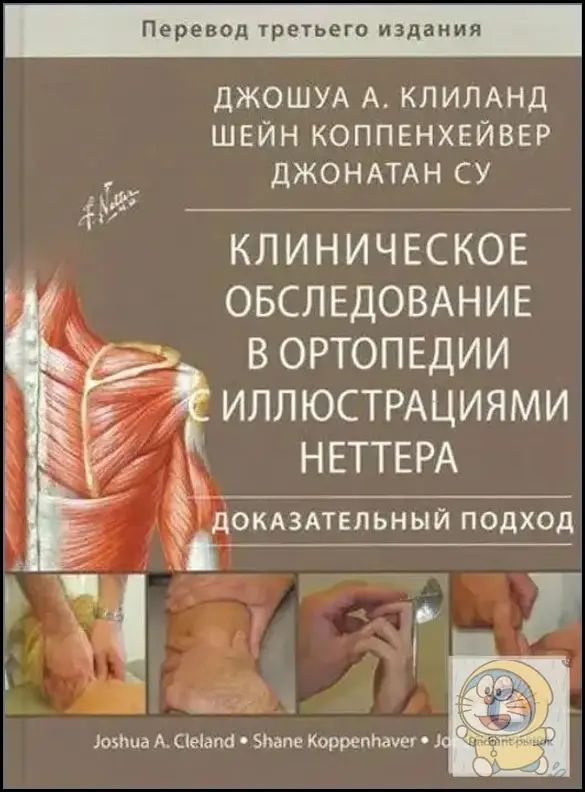 Клинический осмотр в ортопедии по Неттеру, основанный на доказательствах, является премиумруководством