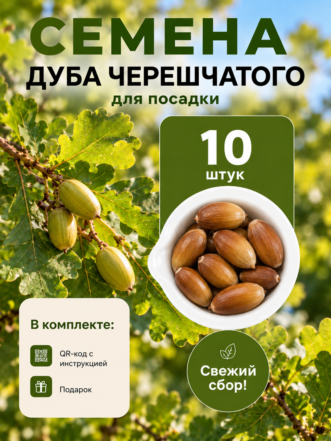Желуди Дуба черешчатого обыкновенного для посадки, семена дерева, дача сад огород, 10 шт