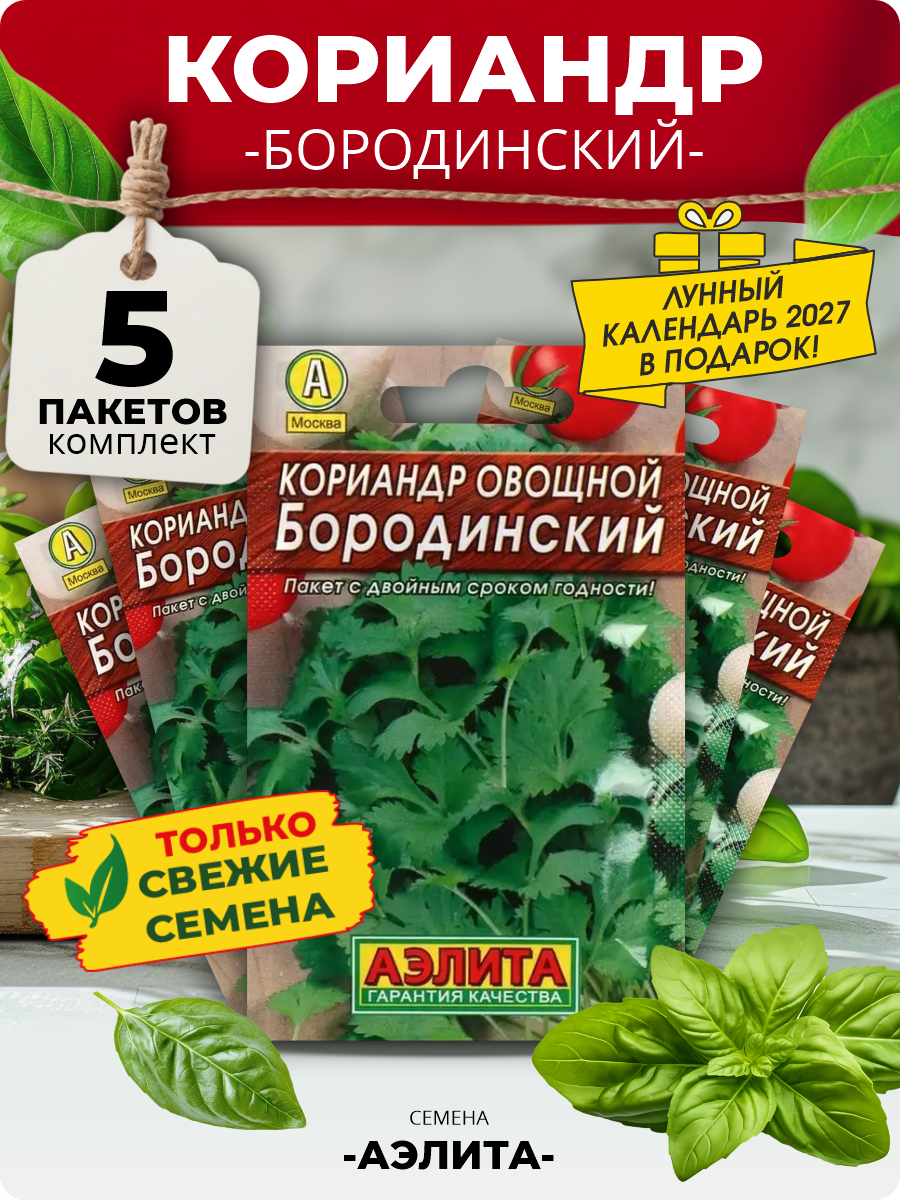 Кориандр Бородинский, 3г, Лидер (Аэлита) 5 шт.
