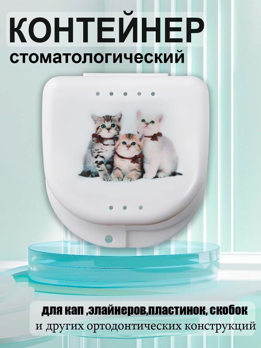 Футляр стоматологический, контейнер для ортодонтических зубных пластинок, капп, элайнеров, протезов и мостов Смартбокс_Котята