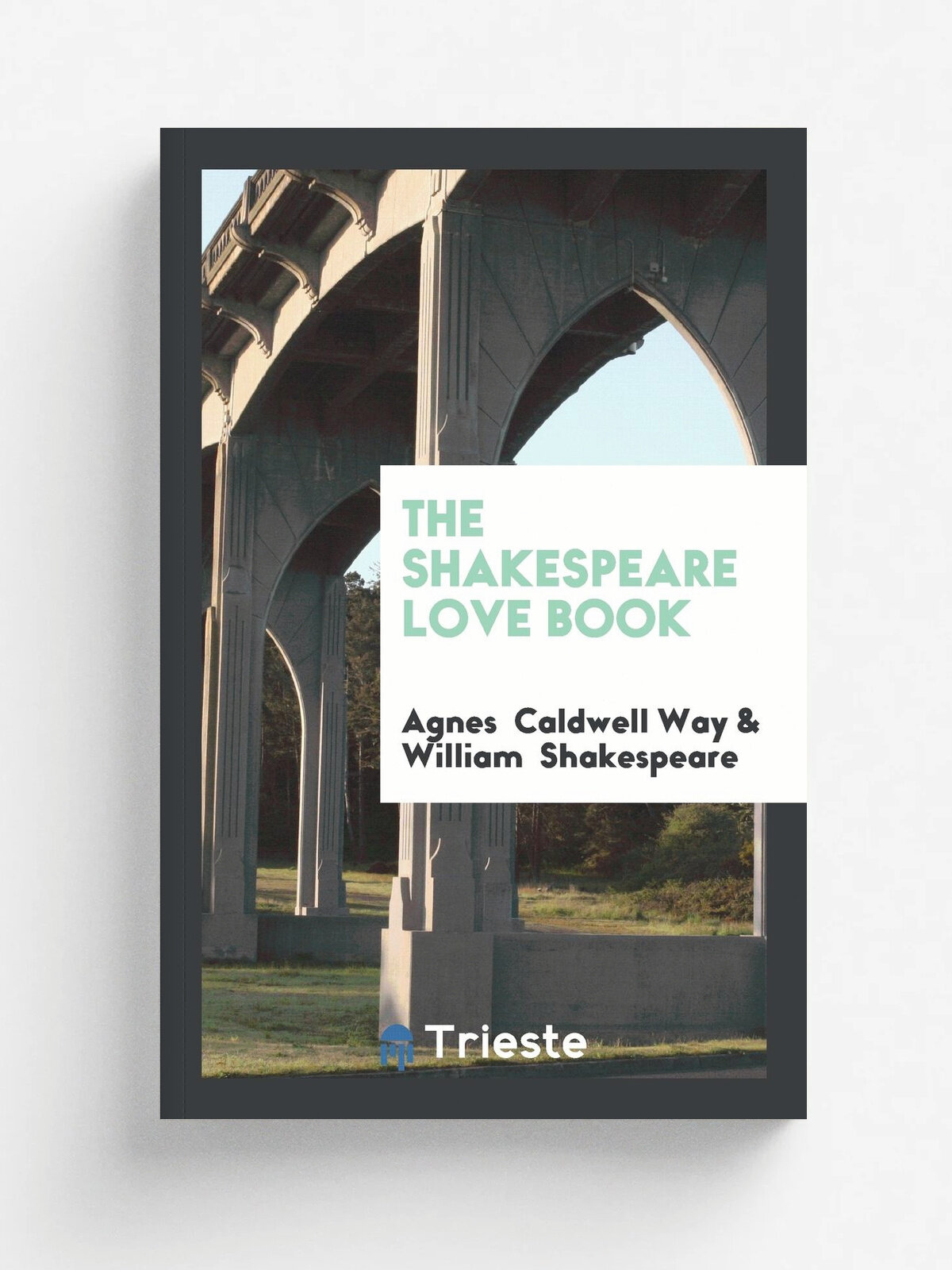 The Shakespeare Love Book