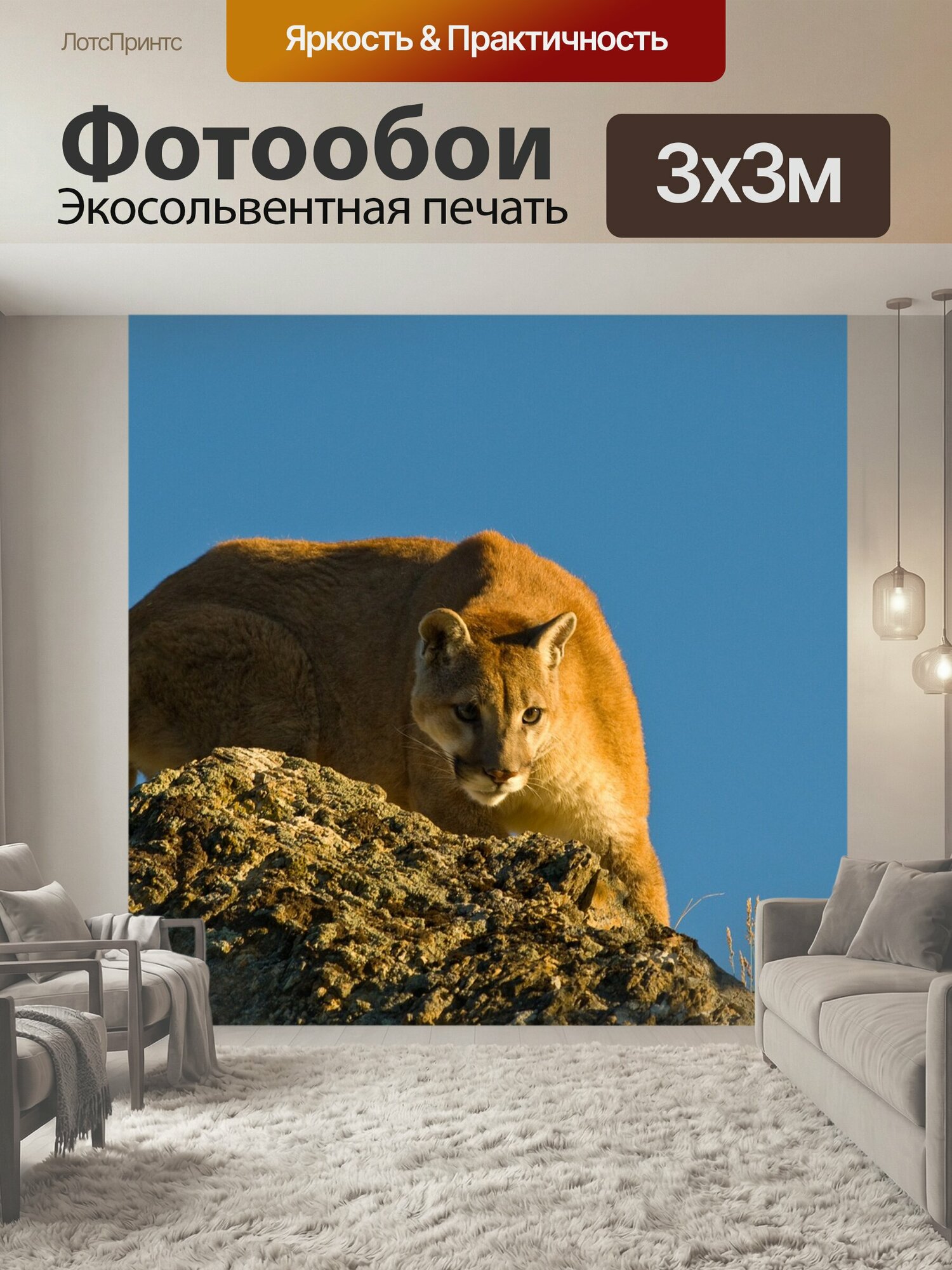 Фотообои "Пума, горный лев, приседать" 300x300 см. экосольвентная печать