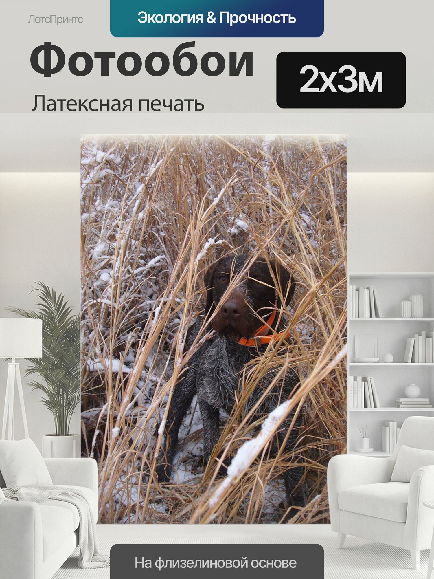 Фотообои моющиеся ударопрочные "Собака, охота, точка" 200x300 см. латексная печать