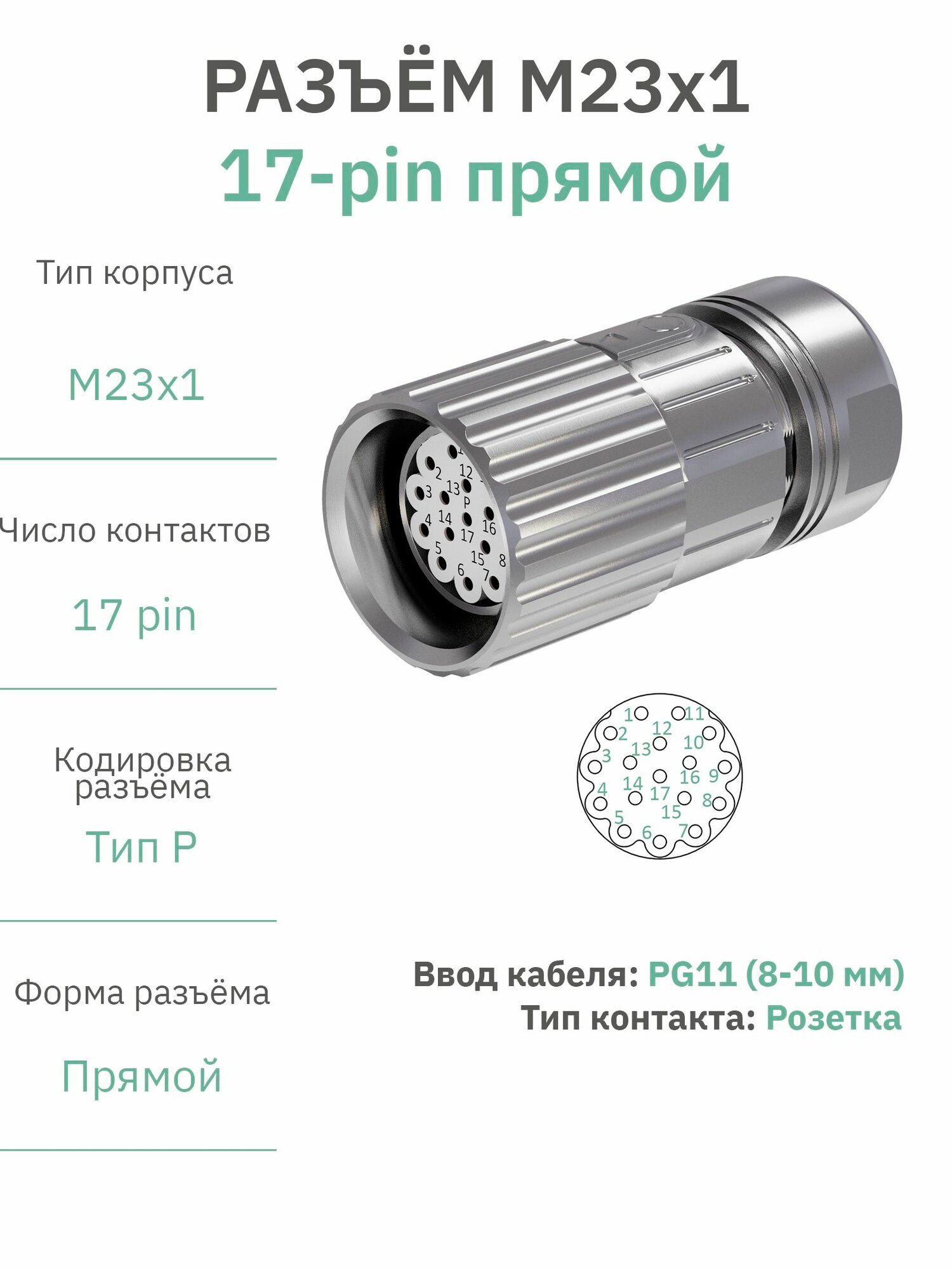 RAZM-F23-C17-CODE-P1-PG11-LT разъём M23 P-coding 17 pin прямой / розетка (мама) / PG11 (8-10 мм диаметр под кабель)