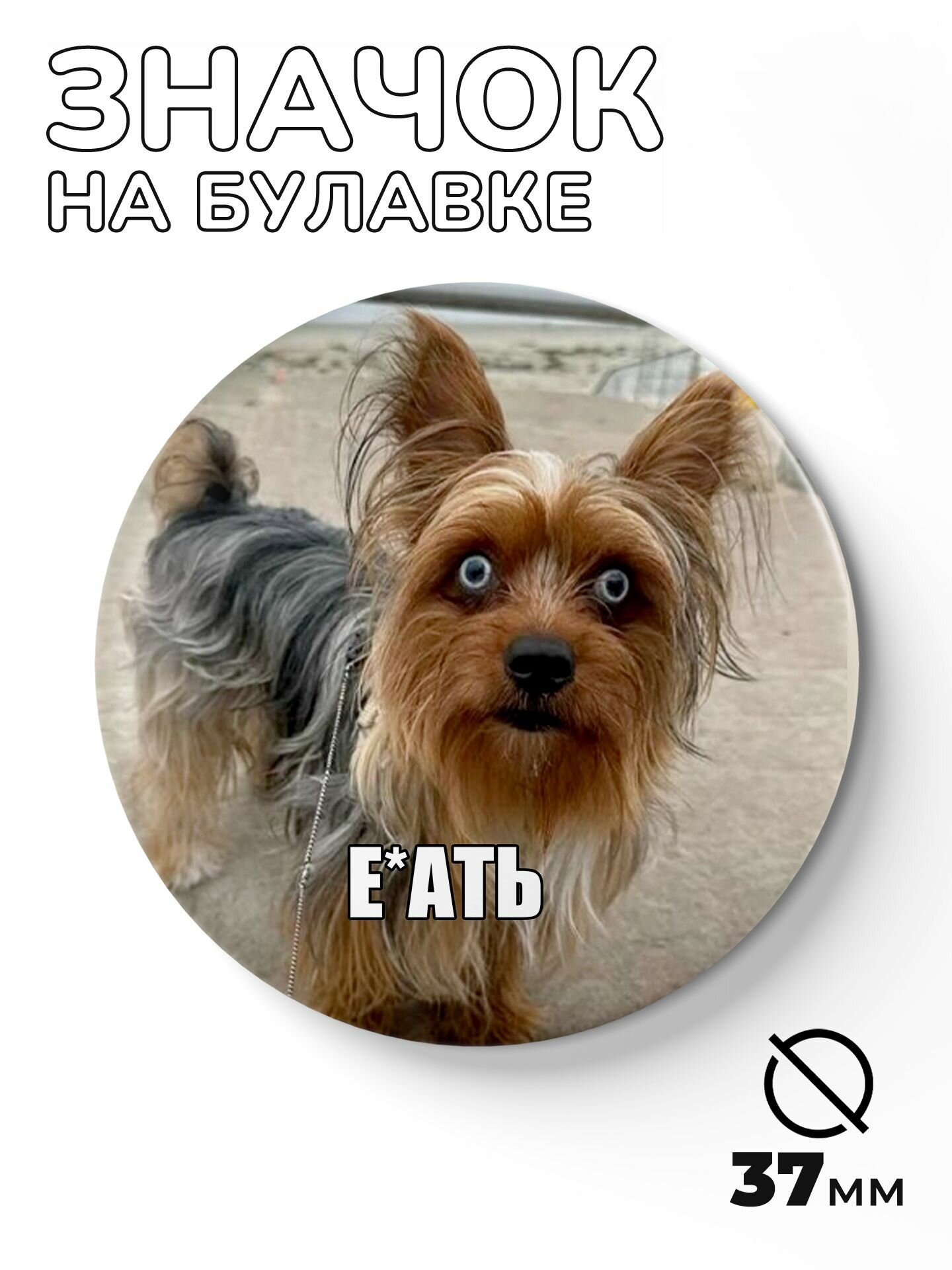 Значок ТИТЛЪ