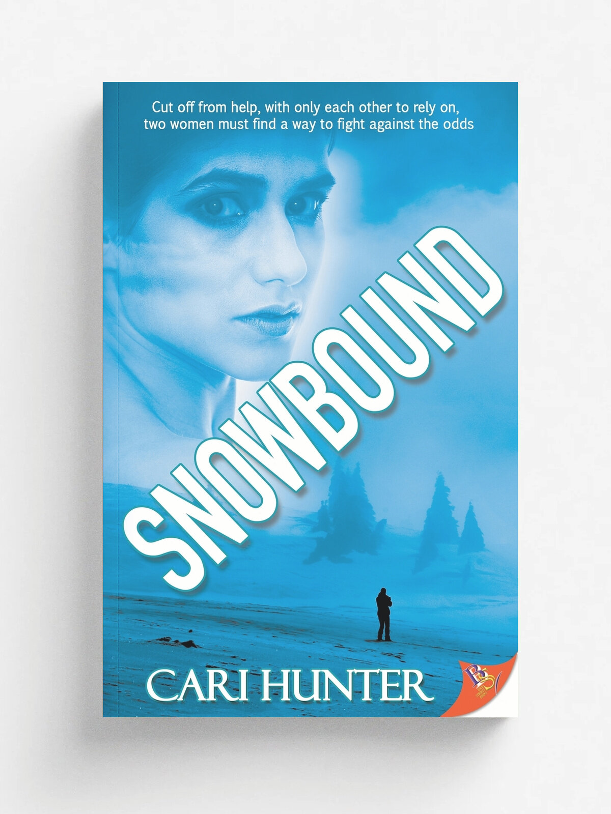 Snowbound