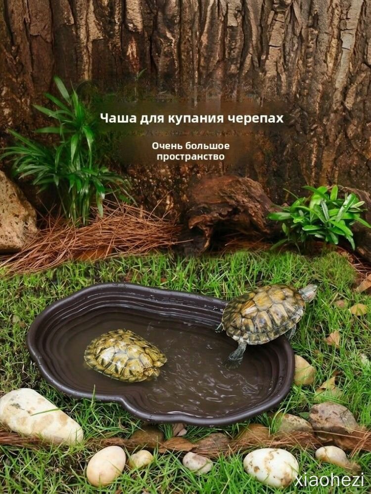 Чаша для черепах коричневая большая с пологими краями для купания воды аксессуар для рептилий