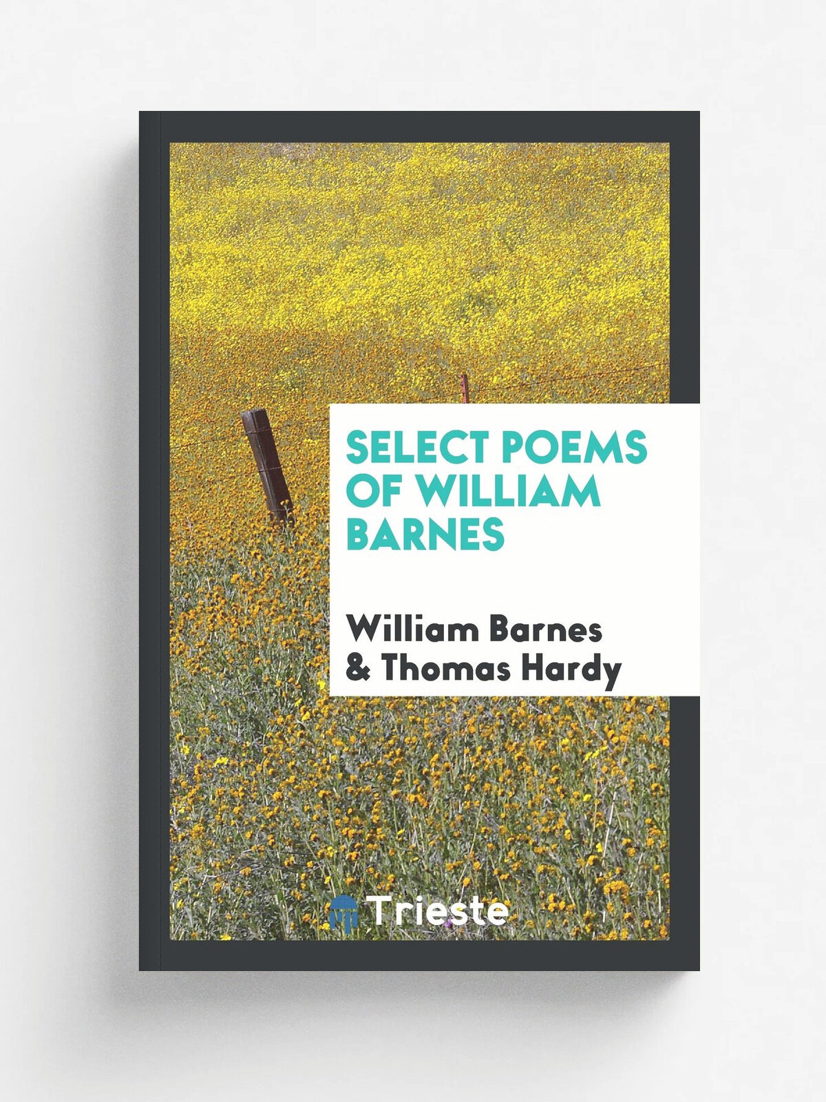 Select poems of William Barnes;