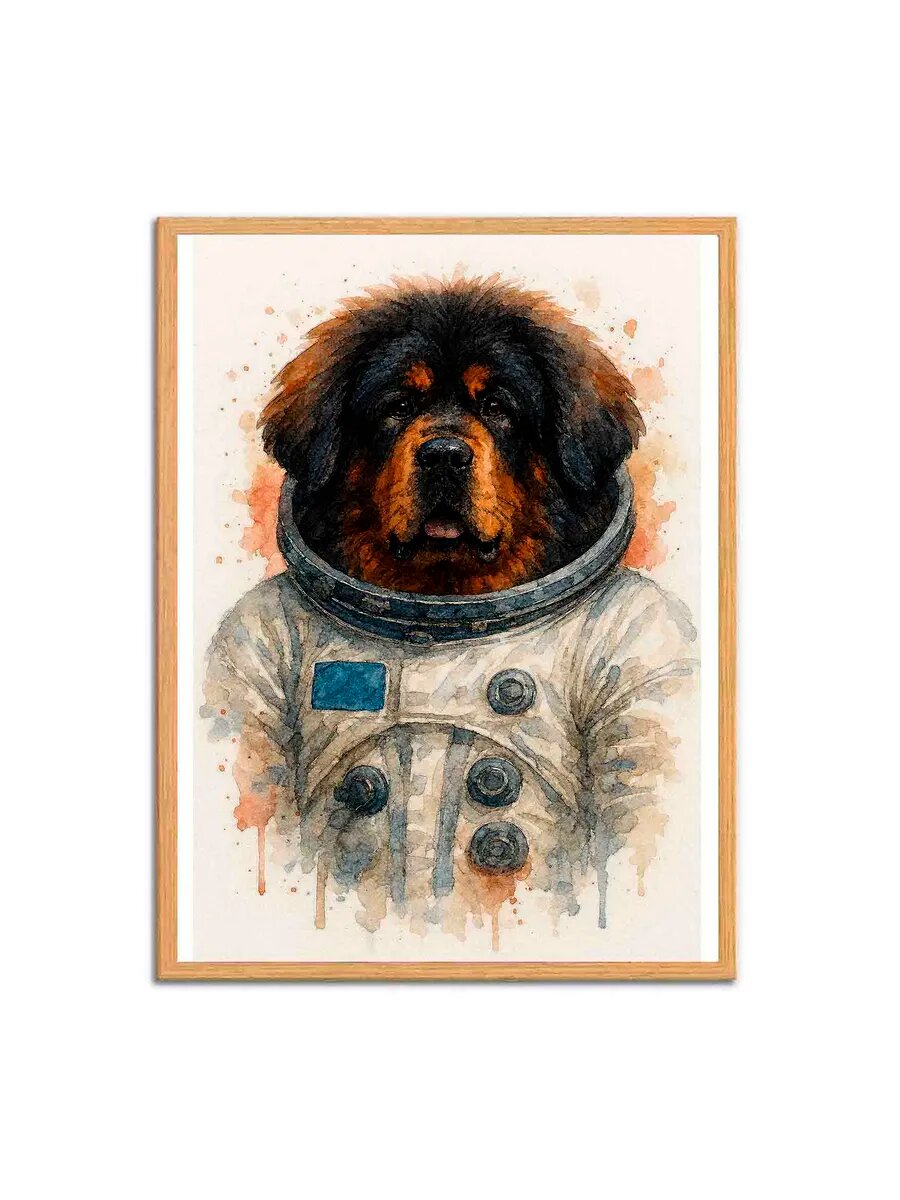 Собака породы тибетский мастиф, Астронавт, Плакат 30x42см