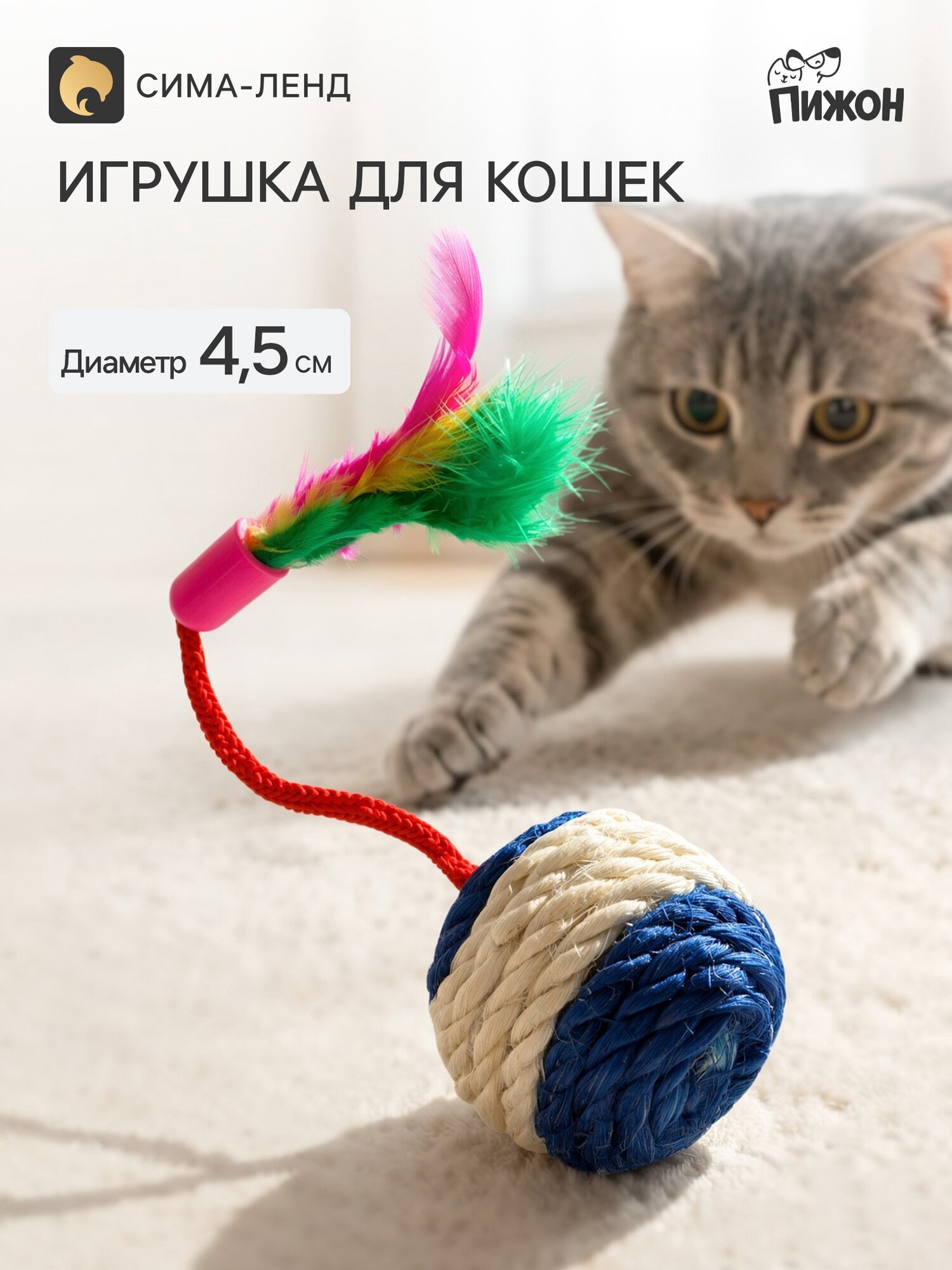 Шарф