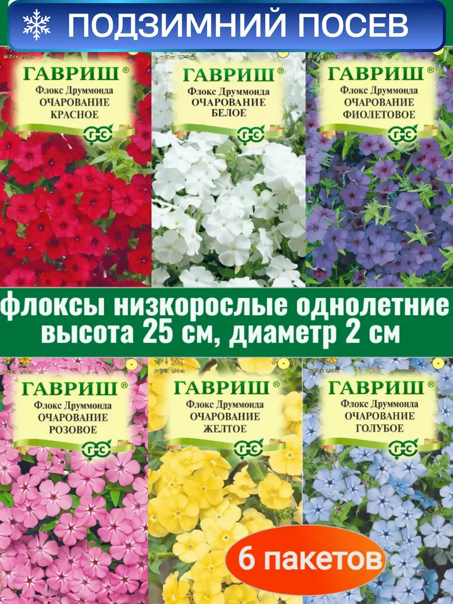 Семена флоксов друммонда однолетних низкорослых 6 пакетов