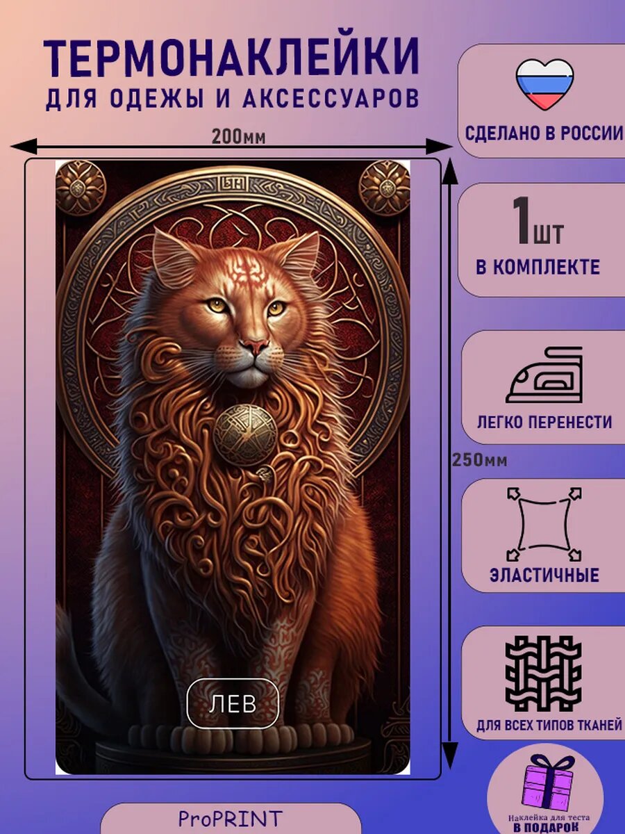 Термонаклейка для одежды