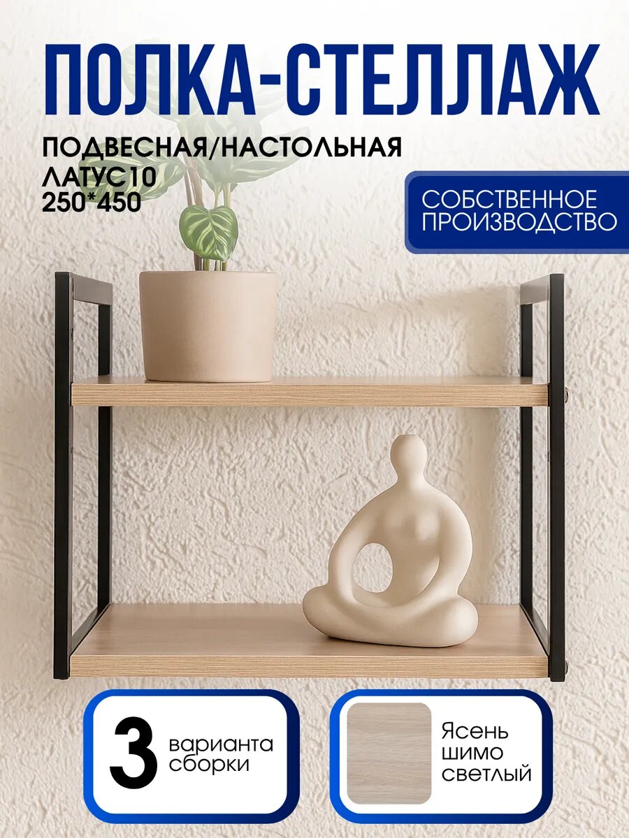 Стеллаж настенный-настольный Латус-10 (250х450), светлый