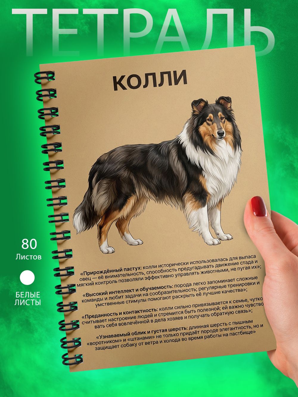 Тетрадь - А5 - Колли