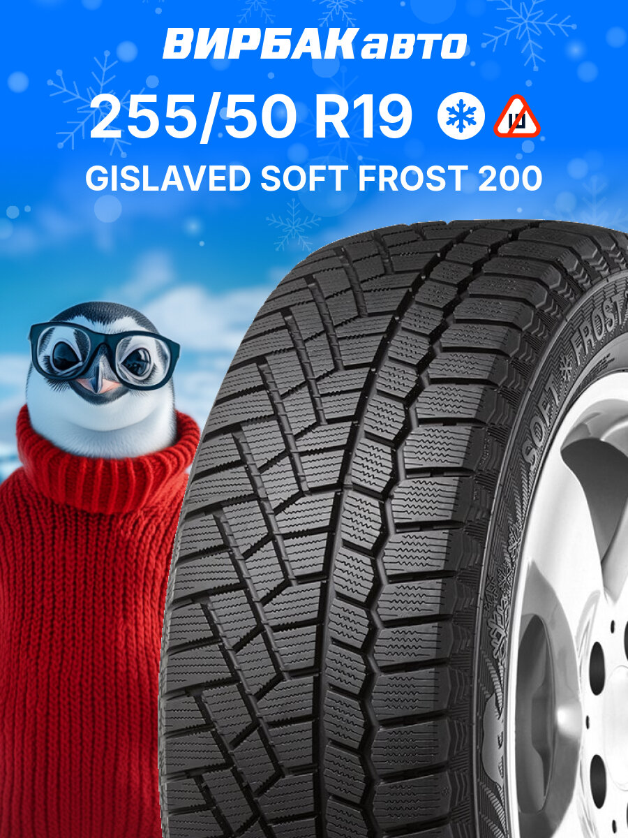Зимние шины GISLAVED Soft Frost 200 255/50R19 107T, зимняя автомобильная резина