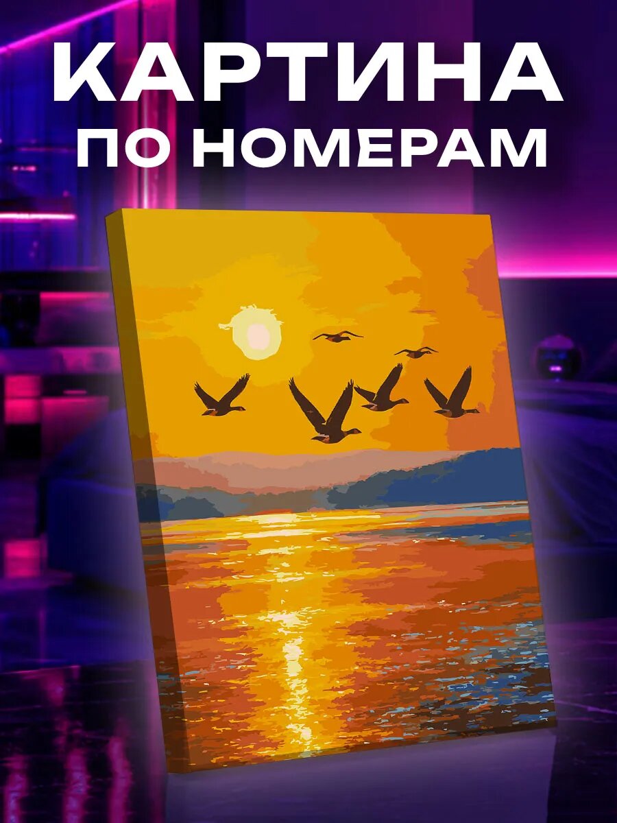 Картина по номерам Гуси