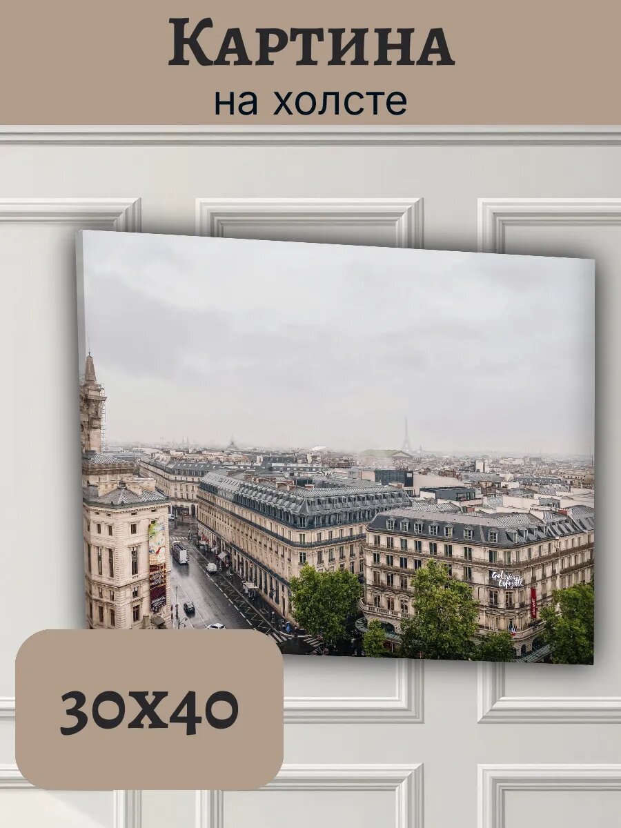 Картина Франция France 30x40 Париж крыши Эйфелева башня