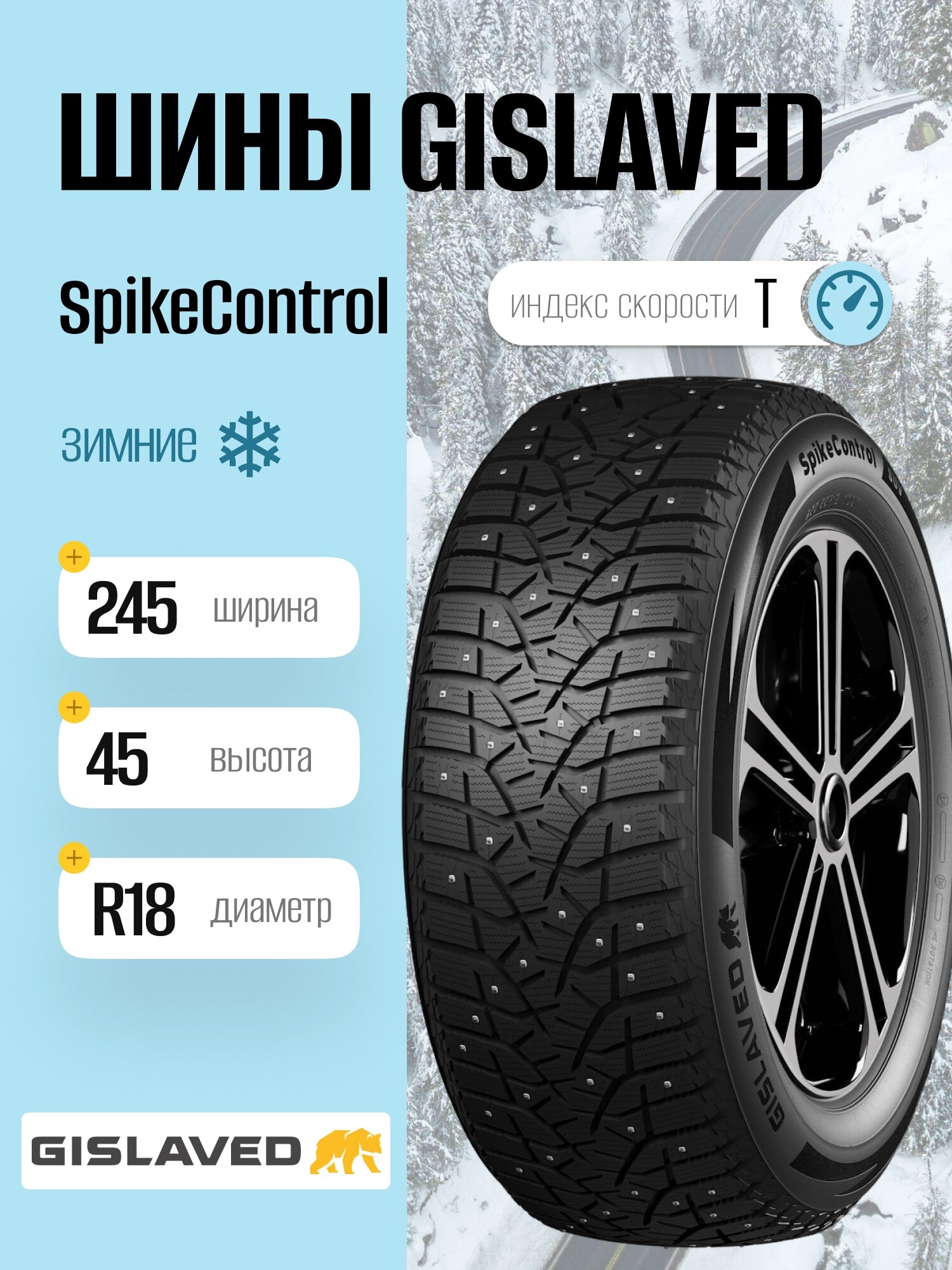 Зимние шины Gislaved SpikeControl 245/45 R18 100T, шипованные, для легковых автомобилей