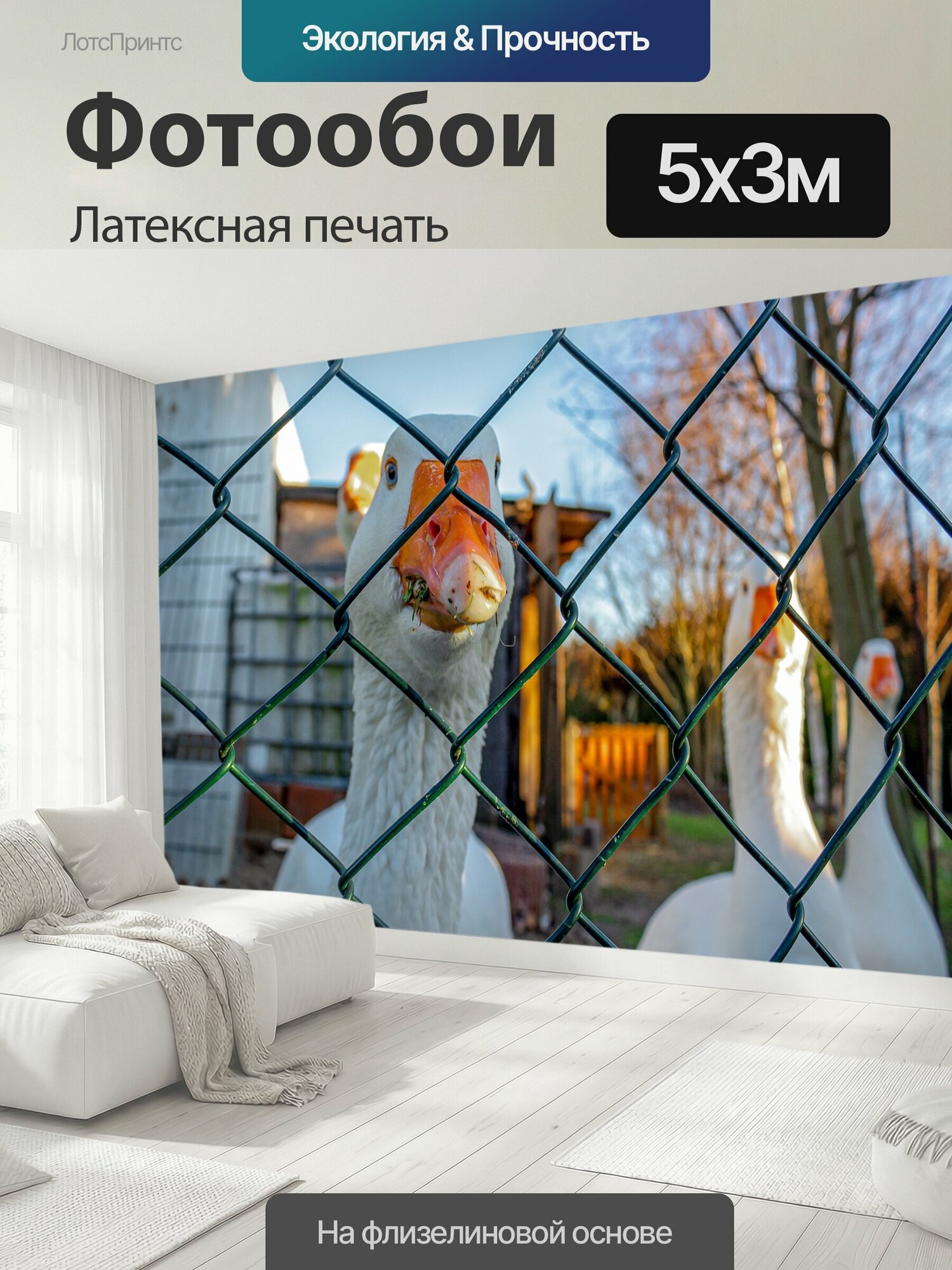 Фотообои моющиеся ударопрочные "Гуси, животное, птицы" 500x300 см. латексная печать