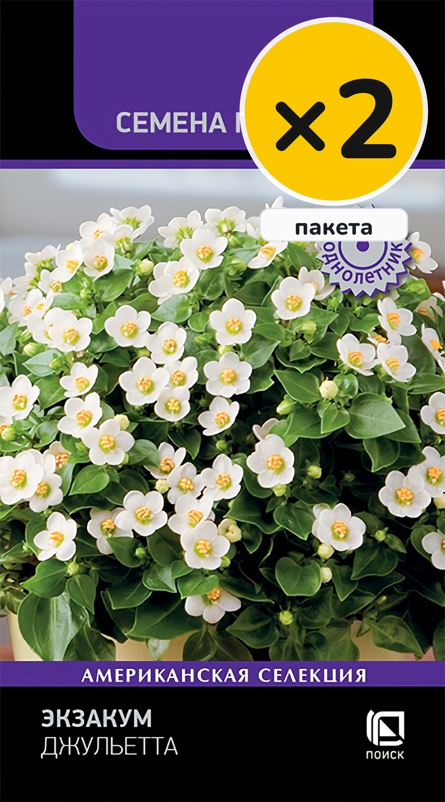 Семена экзакума Джульетта, 5 шт, 2 пакета, Поиск, однолетник, высота до 15 см, посев на рассаду в январе–декабре