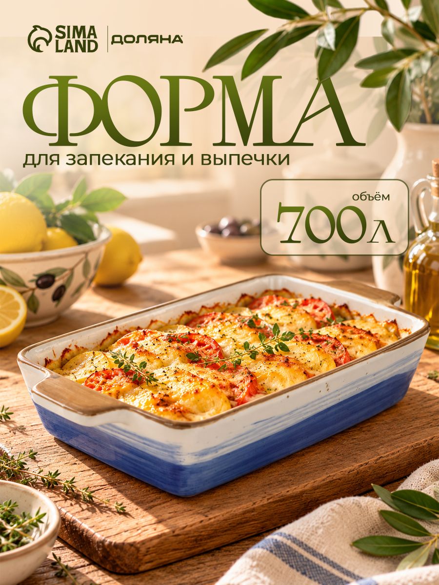 Форма для запекания, объем 700 мл, 23,5х13,5х4,5 см, с ручками, жаропрочный фарфор