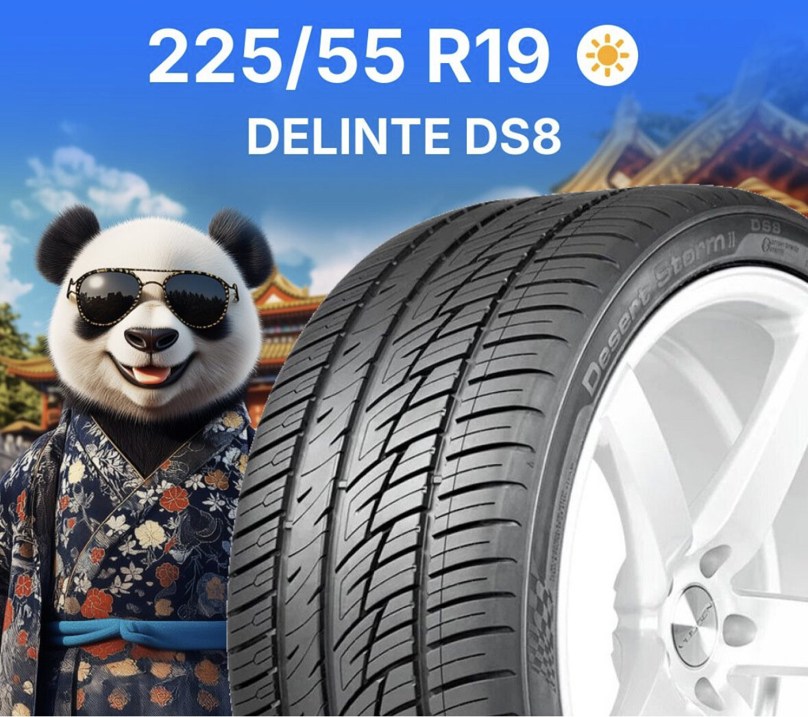 Шина Delinte DS8 225/55 R19 99H