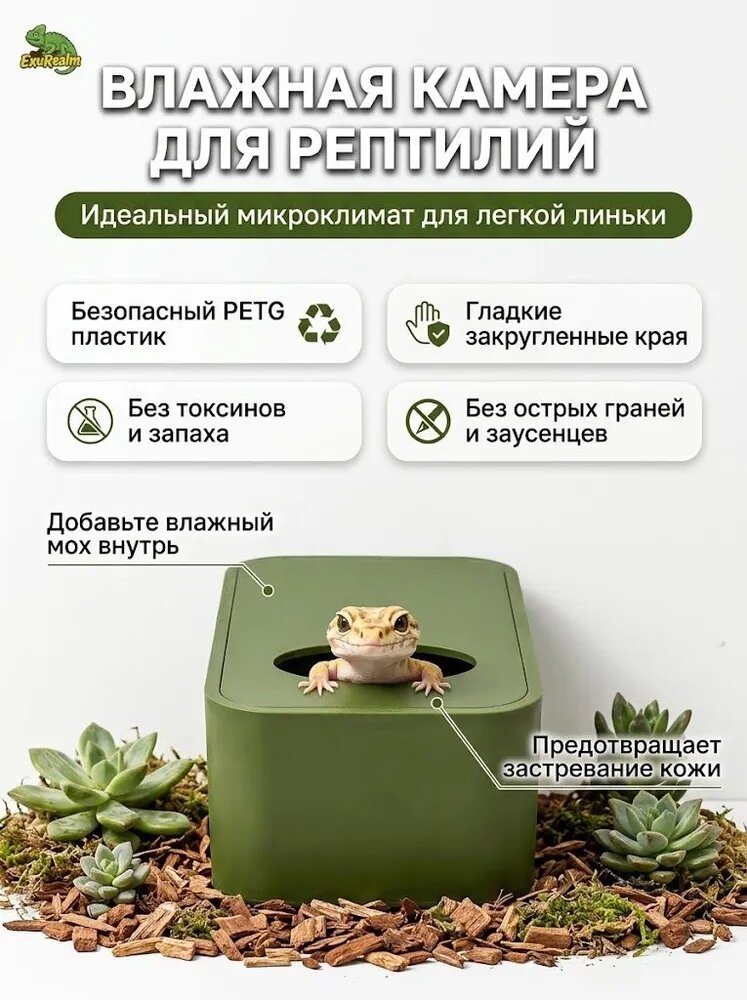 Влажная камера для рептилий, укрытие грот для линьки эублефара, змей и ящериц, PETG пластик, зеленый