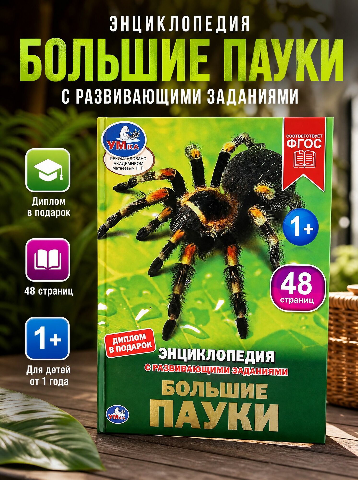 Энциклопедия для детей Пауки Умка | Павлинов Игорь Яковлевич