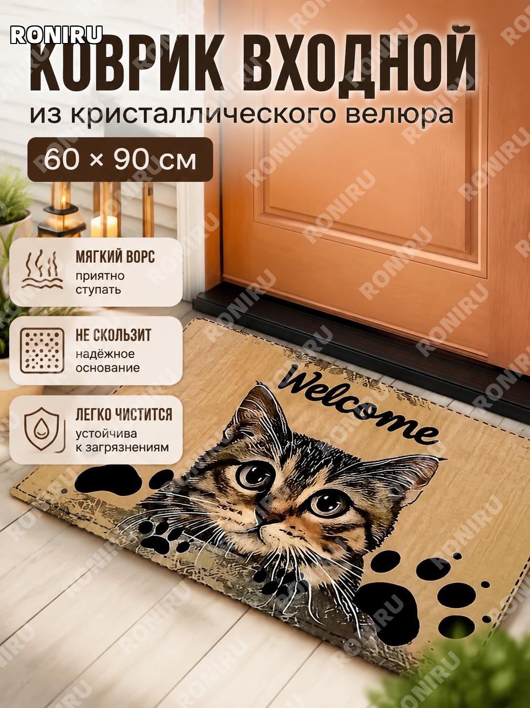 Придверный коврик 60×90 см SYT-SJM-13 из кристального плюша, полиэстер, для прихожей и входной зоны дома уютной