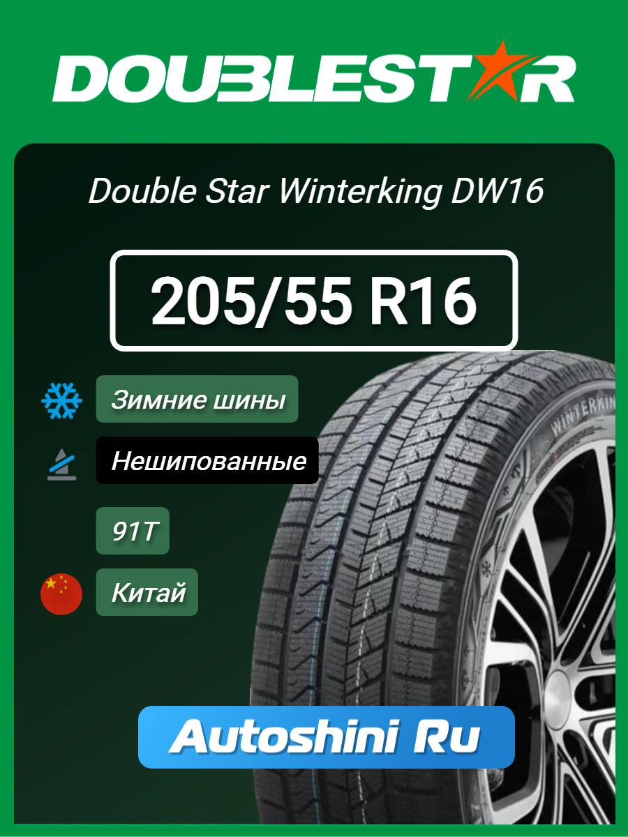Шины зимние Double Star Winterking DW16 205/55 R16 91T (нешип)