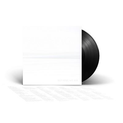 Виниловая пластинка Foo Fighters - But Here We Are (Vinyl, LP, Album, 2023)